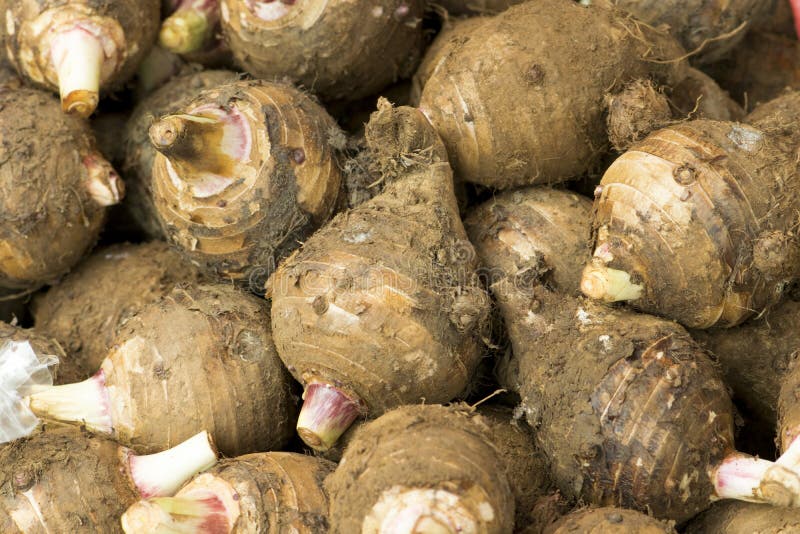 Background with Fresh Taro in Market Stock Image - Image of white ...