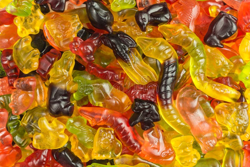 Gummy crocodile candies stock photo. Image of treat, background - 23703172
