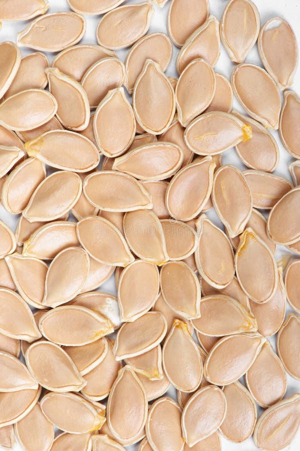 Background Full of Pumpkin Seeds Stock Image - Image of shell, harvest ...