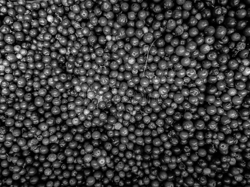 Background of Fullframe of Cranberries Stock Image - Image of ...