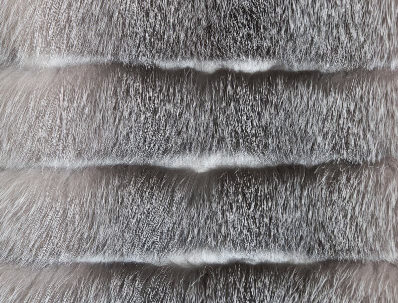 Background of a Fur Texture of Expensive Fur-bearing Stock Image ...