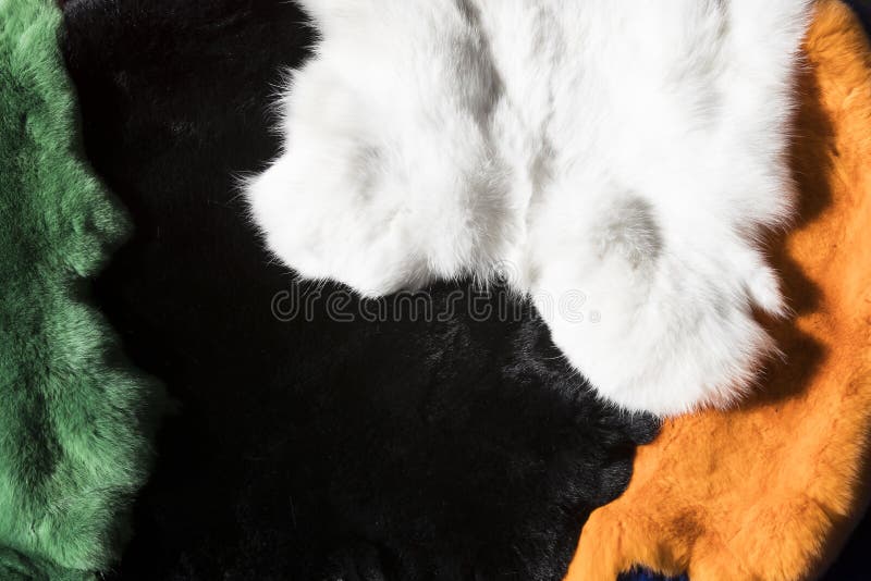 Background of a Fur Texture of Expensive Fur-bearing Stock Image ...