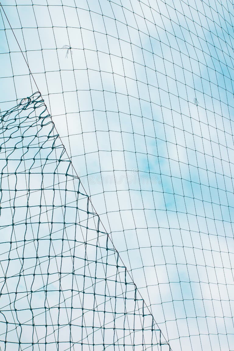 Netball Player White Background Stock Photos - Free & Royalty-Free ...