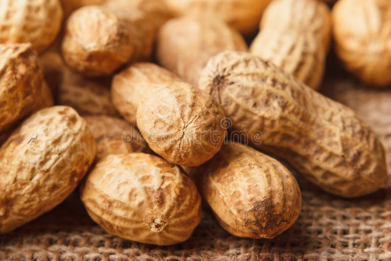 Background from Golden Peanuts in the Shells Stock Image - Image of ...