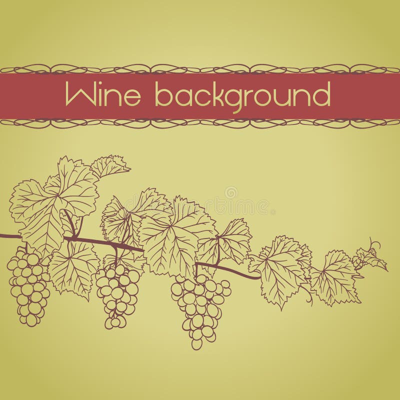 Background with Grapevine Outline with Grapes Stock Vector ...
