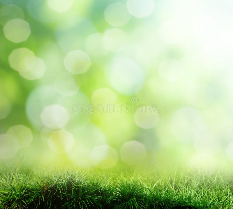 Background of grass. bokeh stock image. Image of environmental - 23705513 Background of grass. bokeh stock image. Image of environmental - 23705513