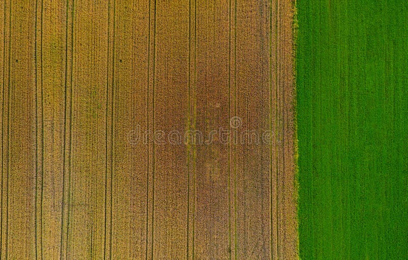 Background of Grass and Pasture Shot from Above with a Drone ...