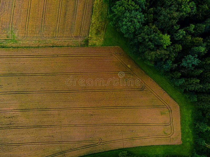 Background of Grass and Pasture Shot from Above with a Drone ...