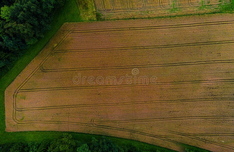 Background of Grass and Pasture Shot from Above with a Drone ...
