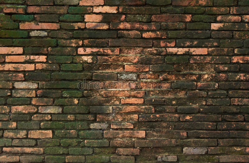 Old Weathered Brick Wall With Algae Stock Image - Image of green ...