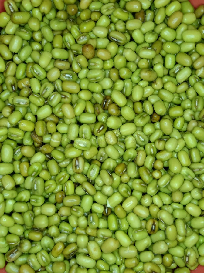 Background of Green Bean Seeds Stock Photo - Image of agriculture, heap ...