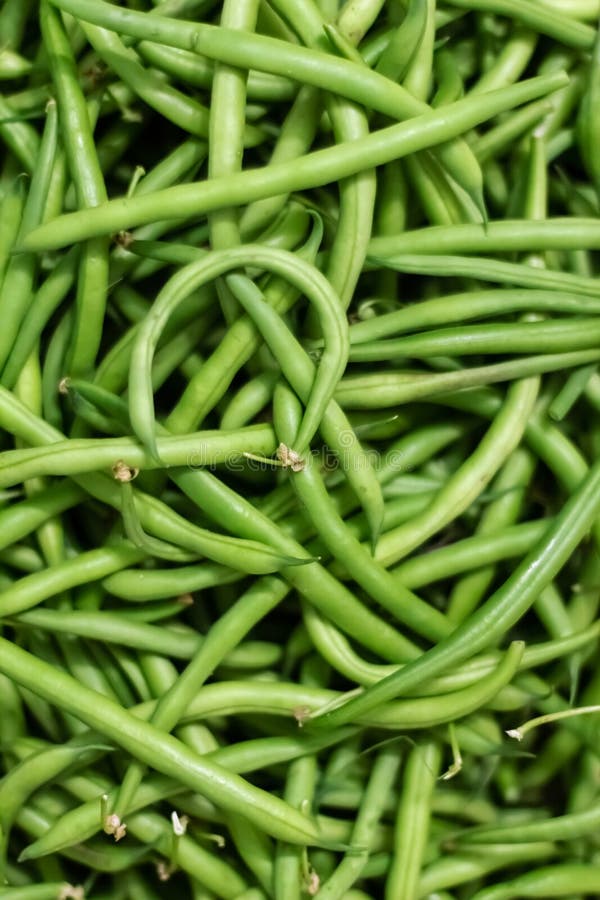 Background from Green Bean String. Close Up Stock Photo - Image of ...