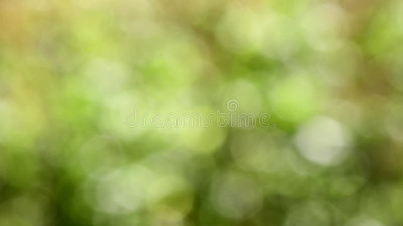 Background of Green, Blurred Grass Stock Footage - Video of wallpaper ...