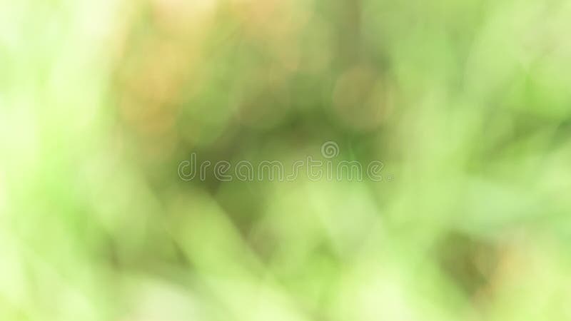 Background of Green, Blurred Grass Stock Footage - Video of fresh ...