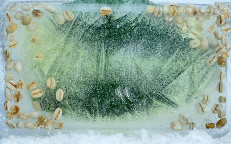 Background of Green Coffee Beans Frozen in Ice Stock Image - Image of ...