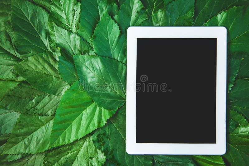 Background of Green Foliage with Tablet Copyspace Stock Photo - Image ...