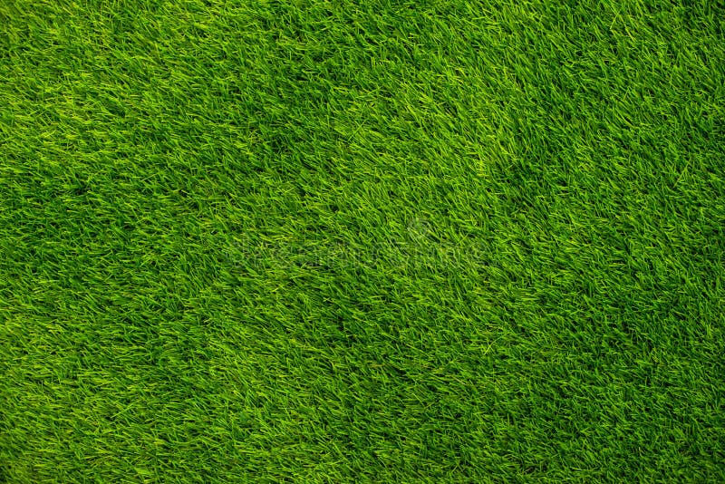 Background Green Grass Top View. Stock Photo - Image of grass, garden ...