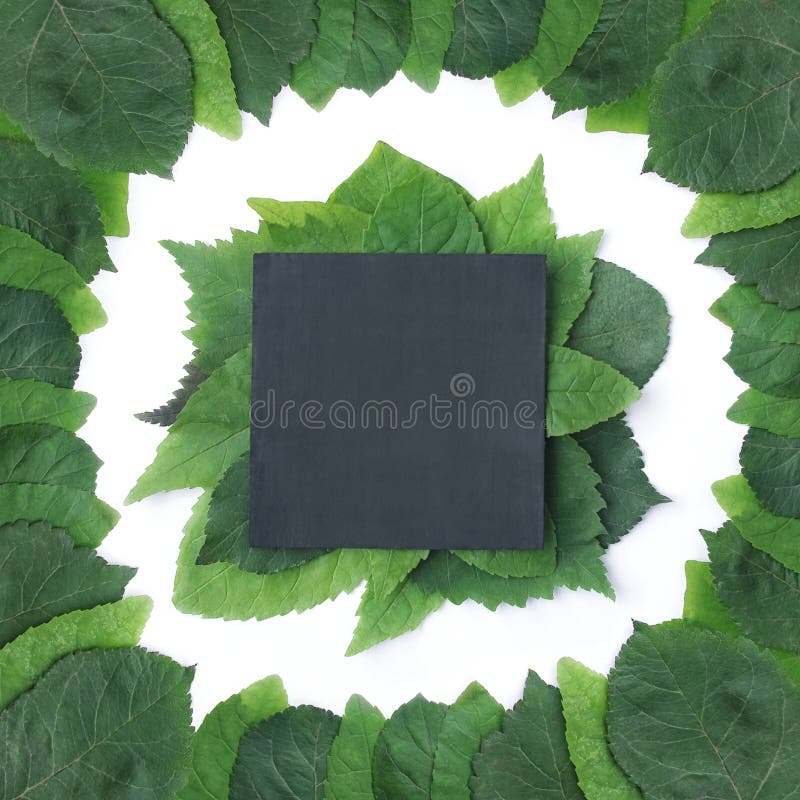 Background of Green Leaves with a Paper Stock Photo - Image of closeup ...