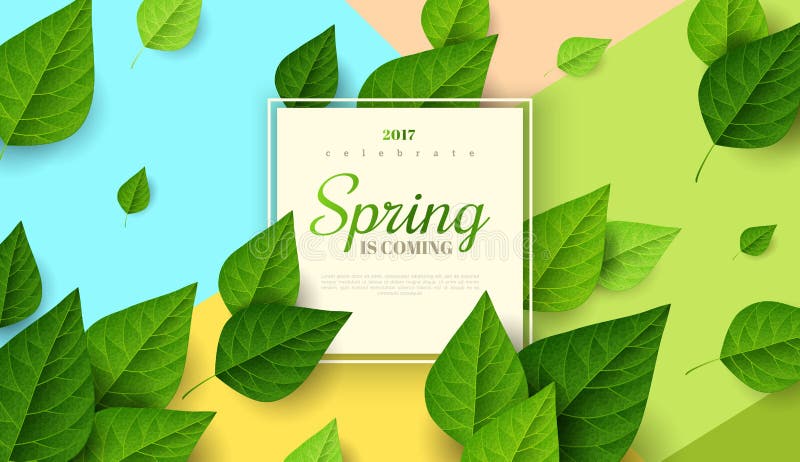 Spring Sale Flyer Design with Green Leaves. Vector Stock Vector ...