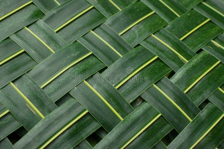 Background. Green Palm Leaves Stock Photo - Image of abstract, material ...