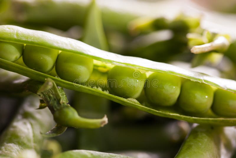 Background - Green Peas, Fresh Pea Fruit with Green Leaf Stock Photo ...