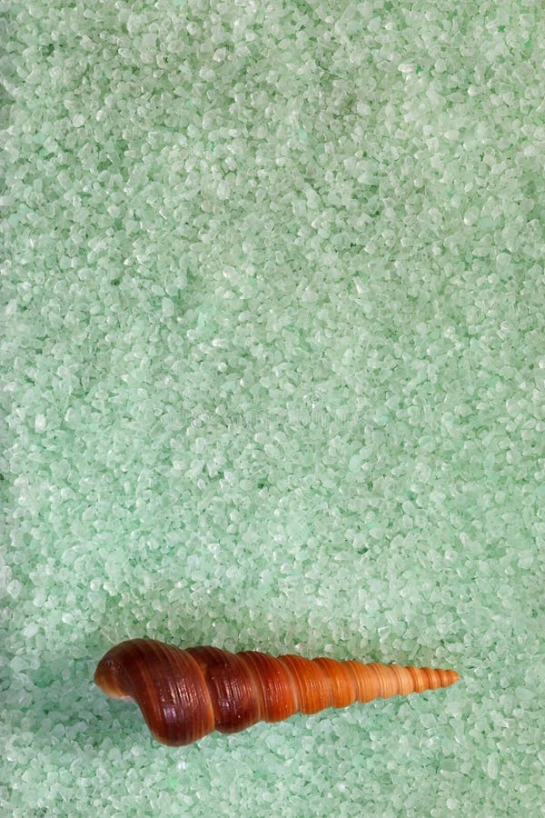 Background with Green Sea Salt and Seashell, Vertical Stock Photo ...