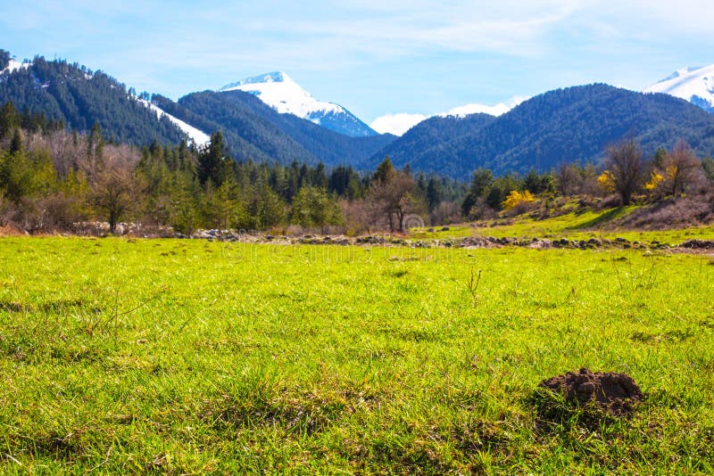 Background with Green Spring Grass Field and Snow Mountains Far Away ...