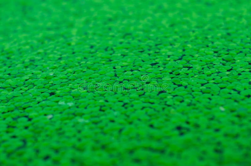 Background stock image. Image of white, green, material - 45164163