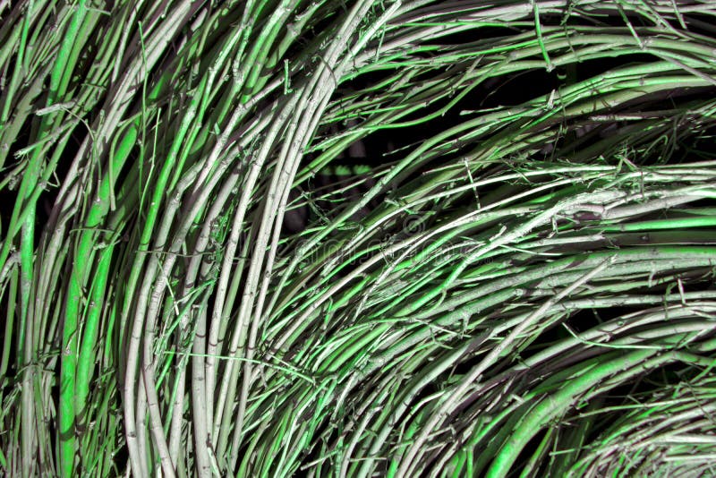 Background of green vines. stock photo. Image of fence - 179071244