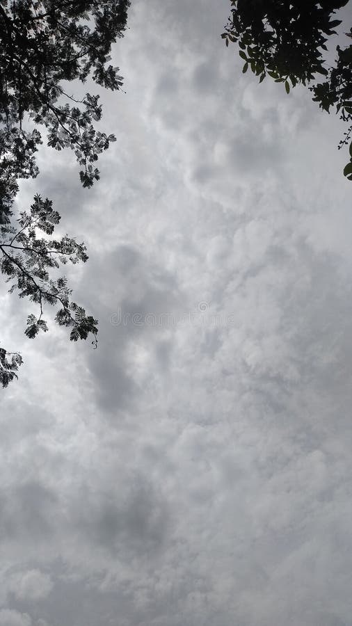 Background Grey Cloudy Sky at the Park Stock Photo - Image of flower ...