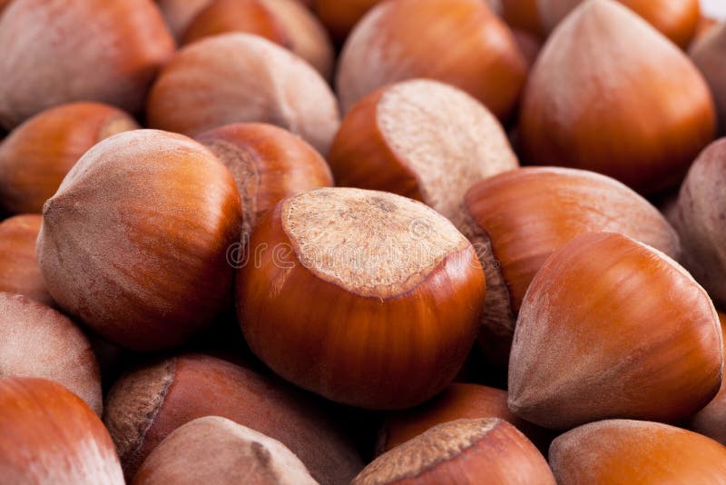 Background of Group of Hazelnuts in Husks Close Up Stock Image - Image ...