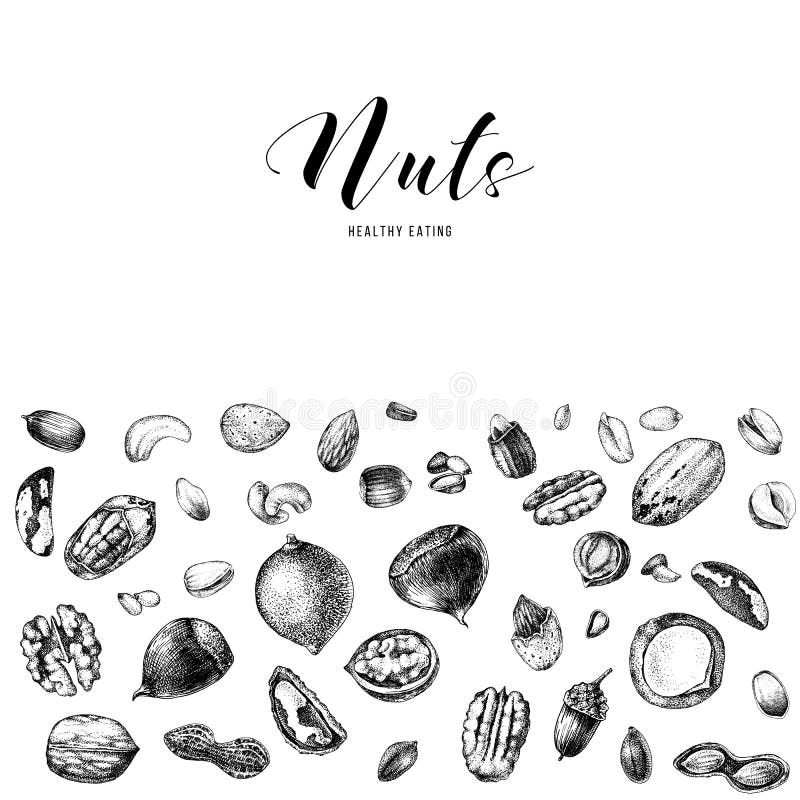 Background with nuts stock vector. Illustration of drawing - 38562235