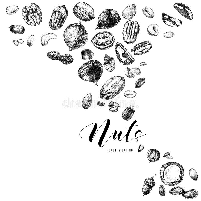 Background with nuts stock vector. Illustration of drawing - 38562235