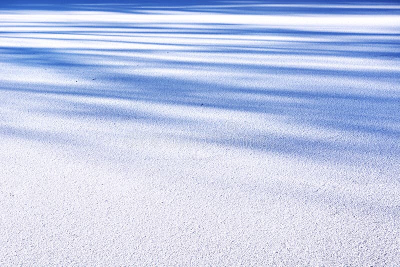 Blue shadows on the snow stock photo. Image of winter - 136724846