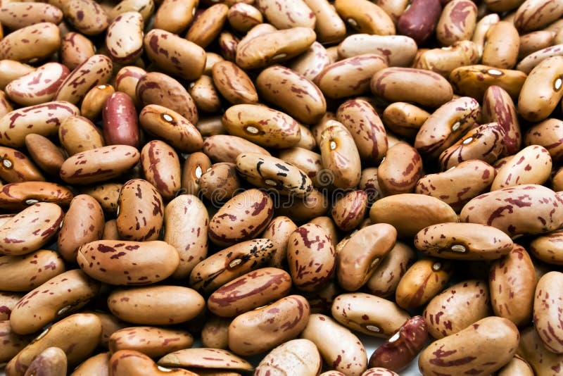 Background of Haricot Beans Stock Photo - Image of vegetable, nutrition ...