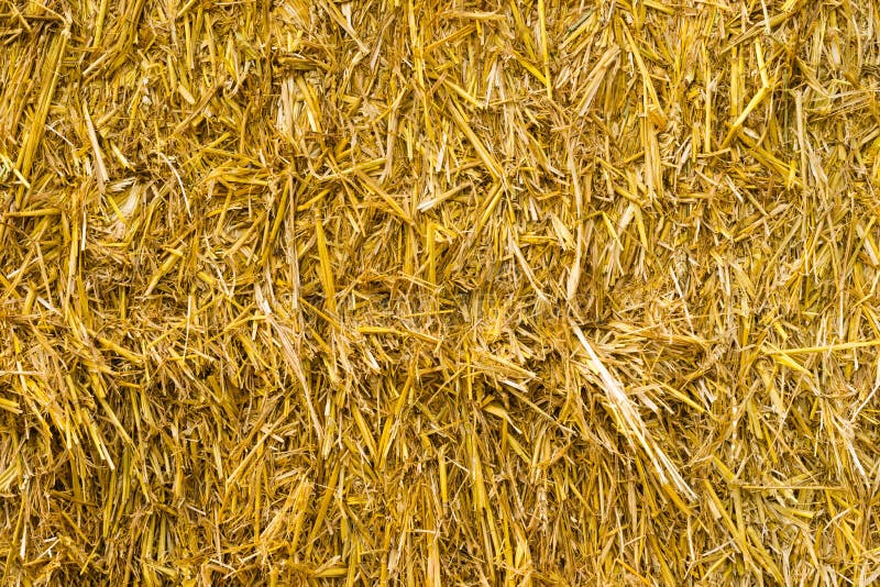 Background of hay stock image. Image of gold, harvest - 26260797