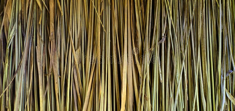 Background hay leaves stock photo. Image of cement, crack - 167626826