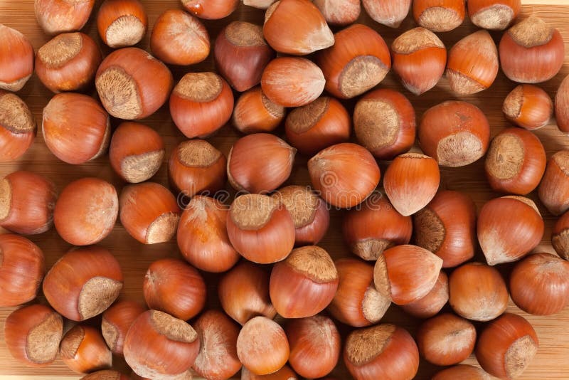 Background of hazel stock image. Image of snack, brown - 18325377