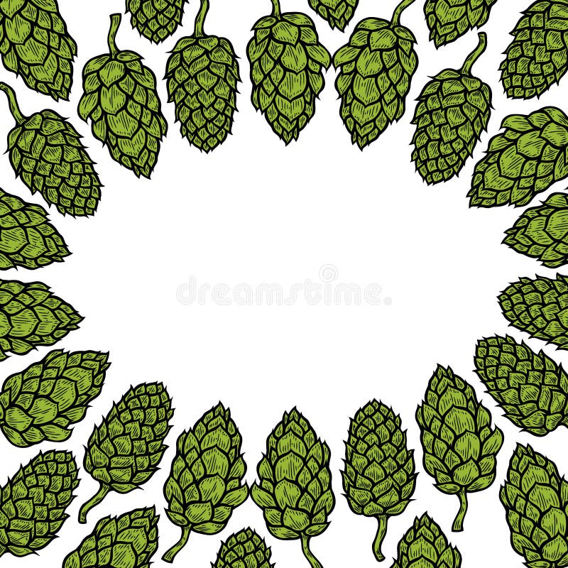 Hop Vector Seamless Pattern. Stock Vector - Illustration of branch ...
