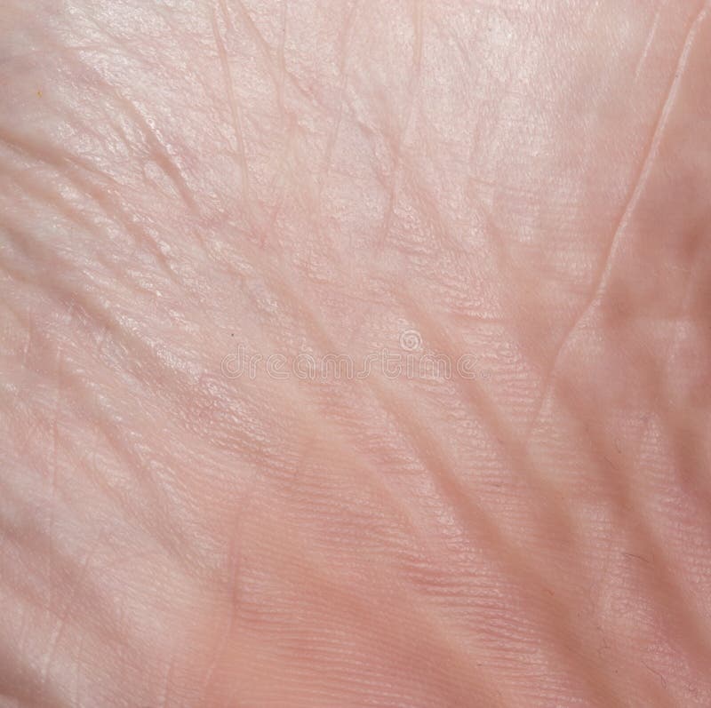 Background of the Human Skin. Macro Stock Photo - Image of closeup ...