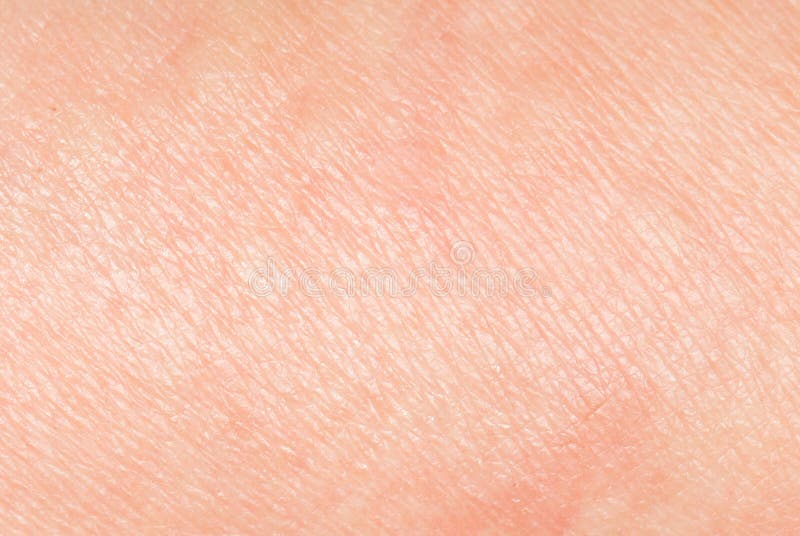 Background of the Human Skin. Macro Stock Photo - Image of background ...