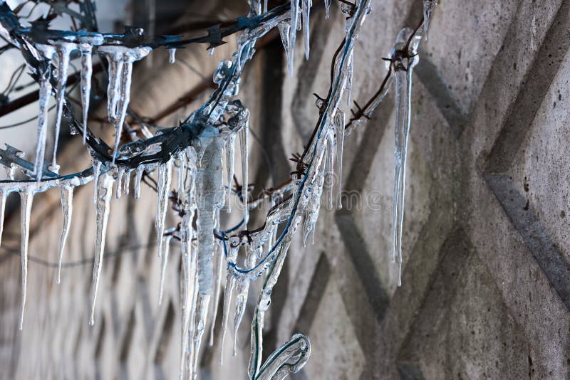 Background with Icicles on Barbed Wire Stock Image - Image of escape ...