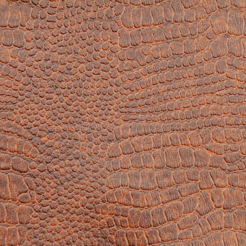Background Image - Brown-red Crocodile Skin Texture Stock Image - Image ...