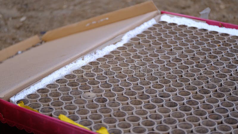 Cardboard Detail from an Exploded Firework Stock Photo - Image of ...