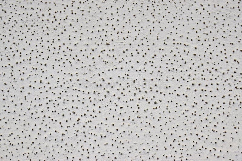 White Wall with Perforations Stock Photo - Image of perforated, cracked ...
