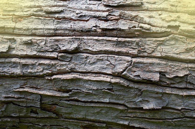 Background Image of Cut Logs Stock Image - Image of brown, design ...