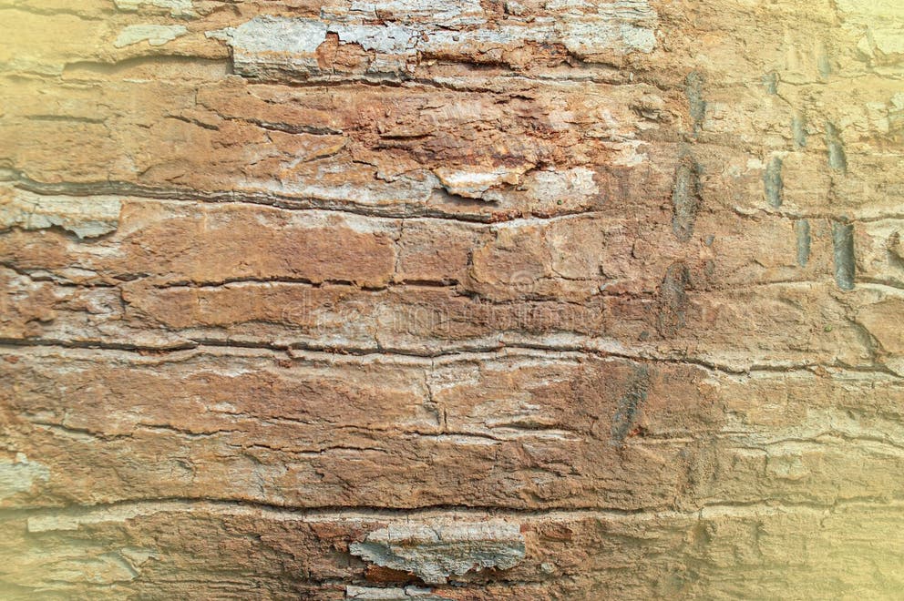 Background Image of Cut Logs Stock Photo - Image of board, brown: 226377524