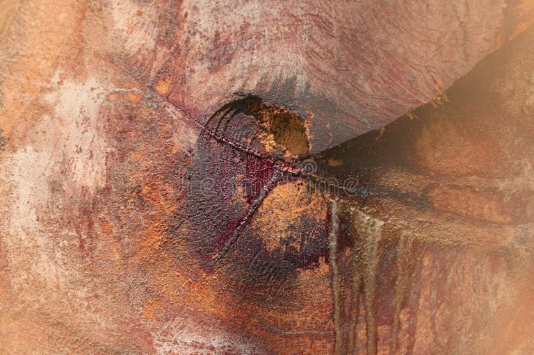 Background Image of Cut Logs Stock Photo - Image of light, circle ...