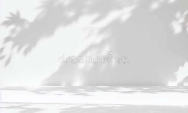 Background Image for Design and Creative Work â€” a Wall with Shadows ...