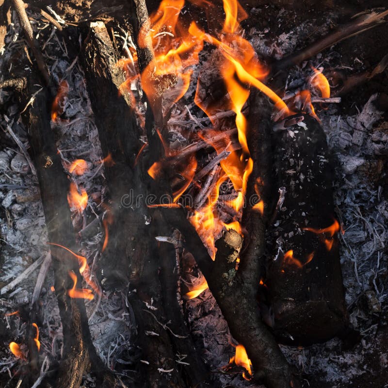 Background Image Fire. Burning Logs and Coals Stock Image - Image of ...
